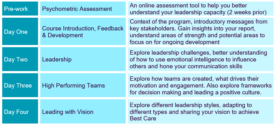 Transforming Leadership Capability program (Group 2) - Nursing & Midwifery